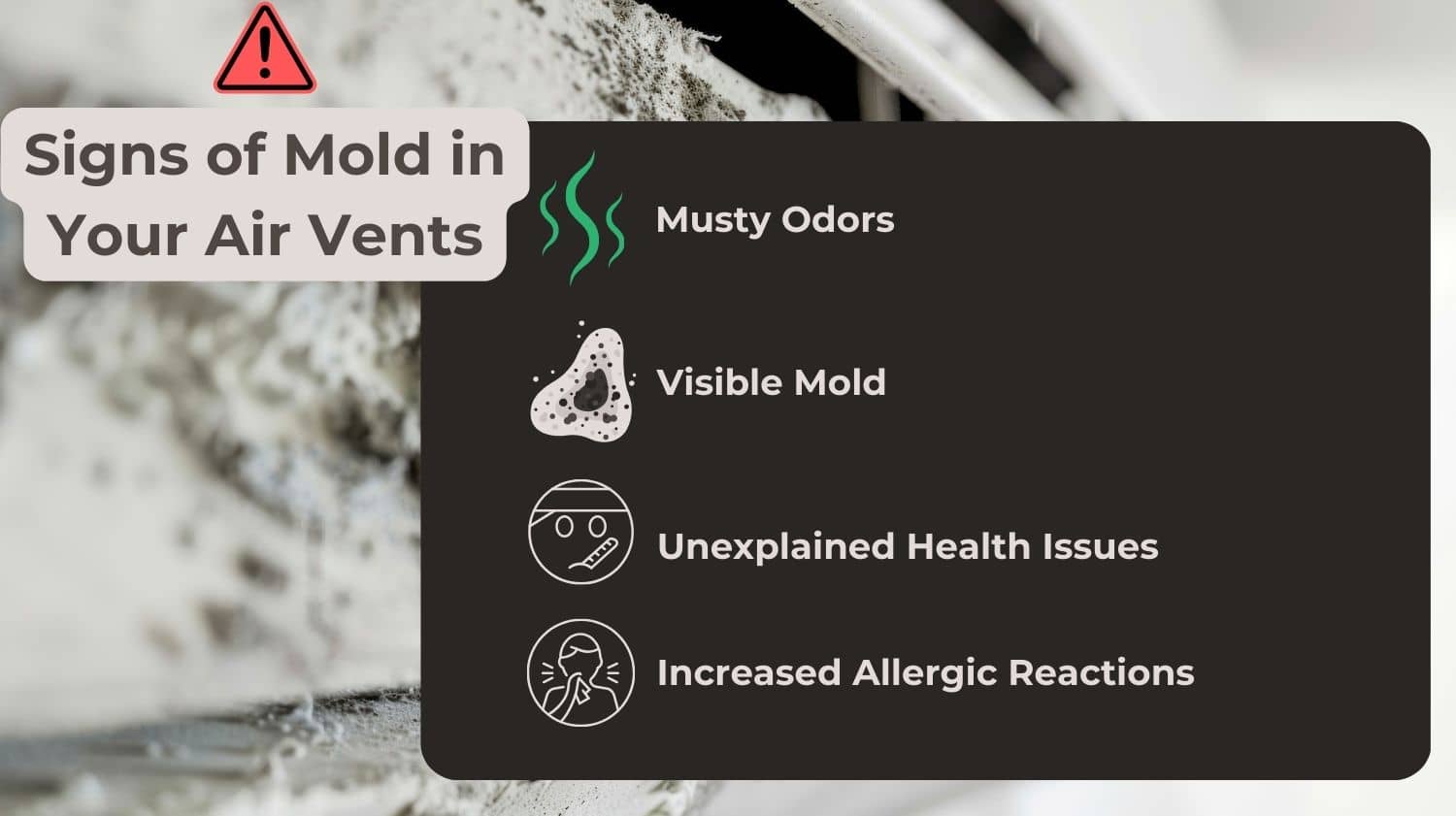 4 Critical Signs of Mold in Your Air Vents - American Property Inspections